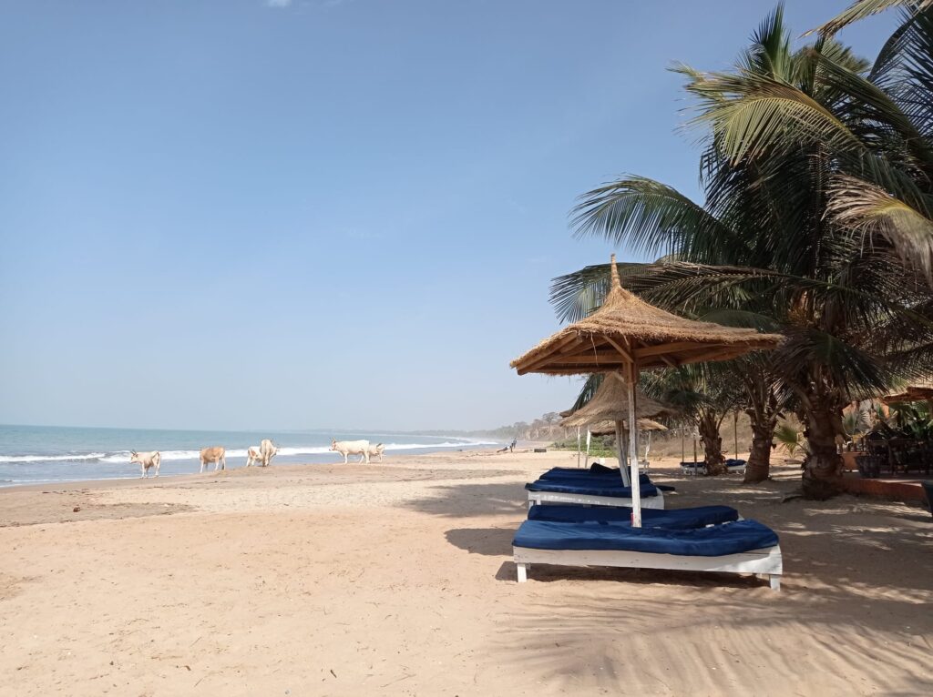 Exclusive Coastal Land for Sale | Bijilo | GAMREALTY