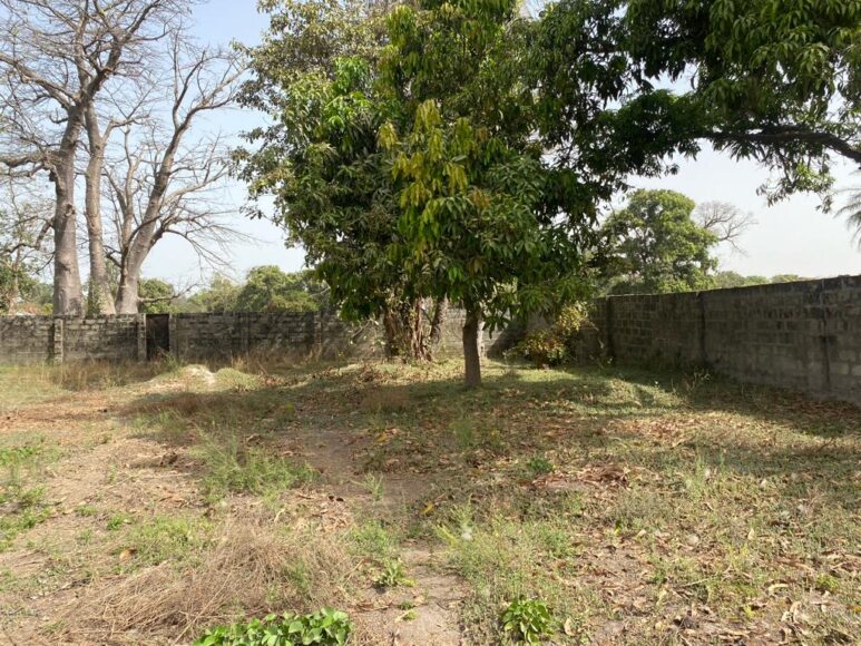 2 Prime Fenced Plots for Sale at Sanyang | GAMREALTY