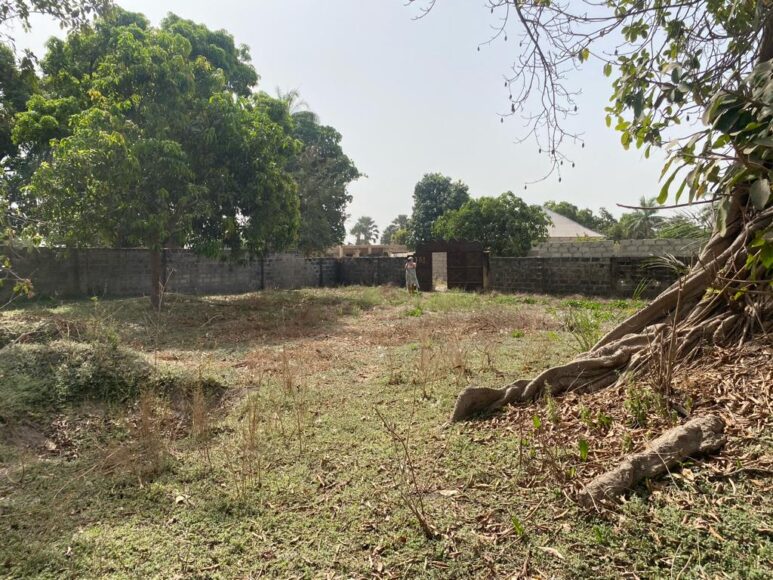 2 Prime Fenced Plots for Sale at Sanyang | GAMREALTY