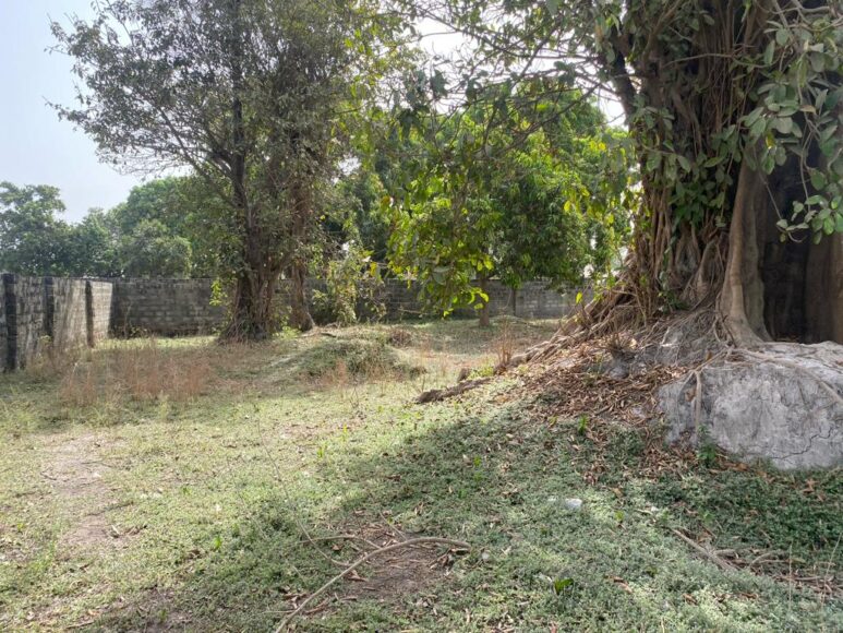 2 Prime Fenced Plots for Sale at Sanyang | GAMREALTY