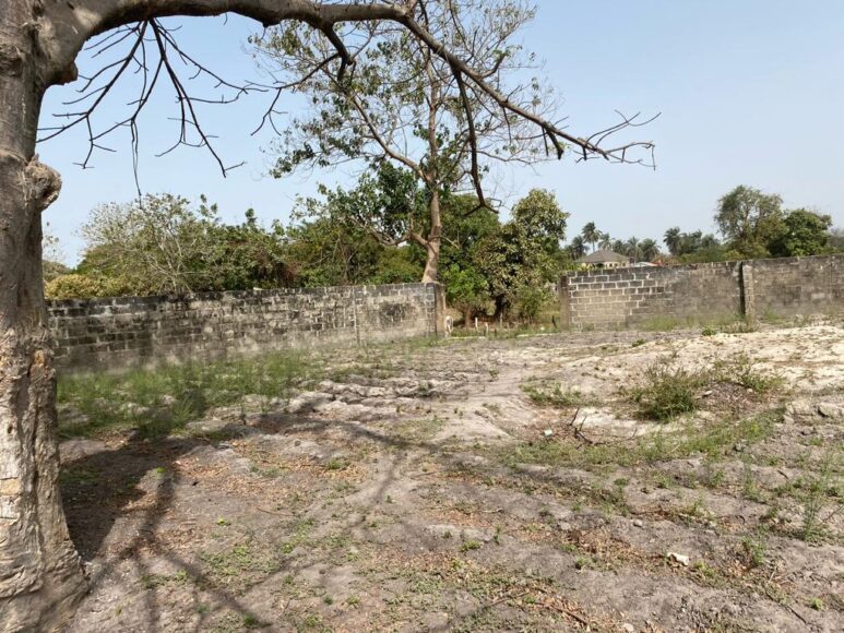 2 Prime Fenced Plots for Sale at Sanyang | GAMREALTY