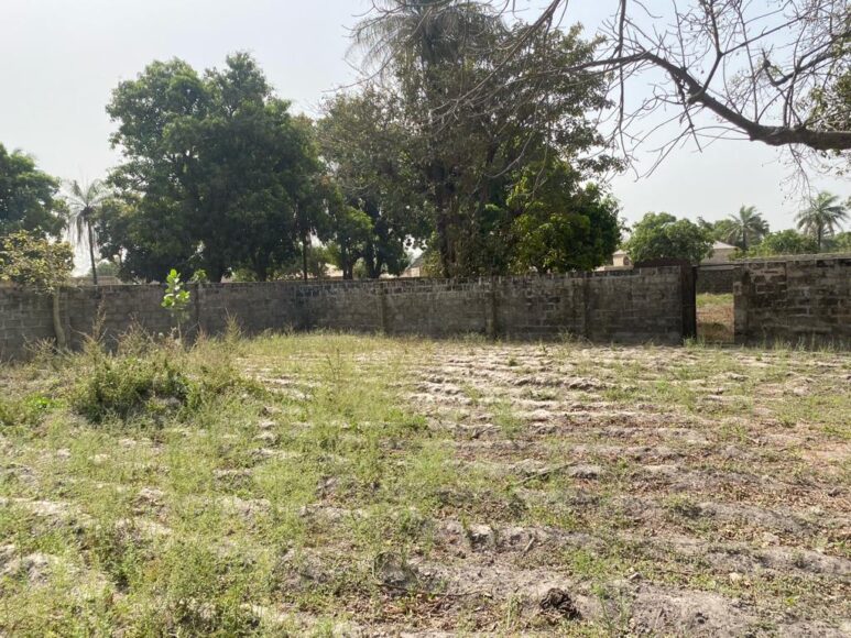 2 Prime Fenced Plots for Sale | Sanyang | GAMREALTY
