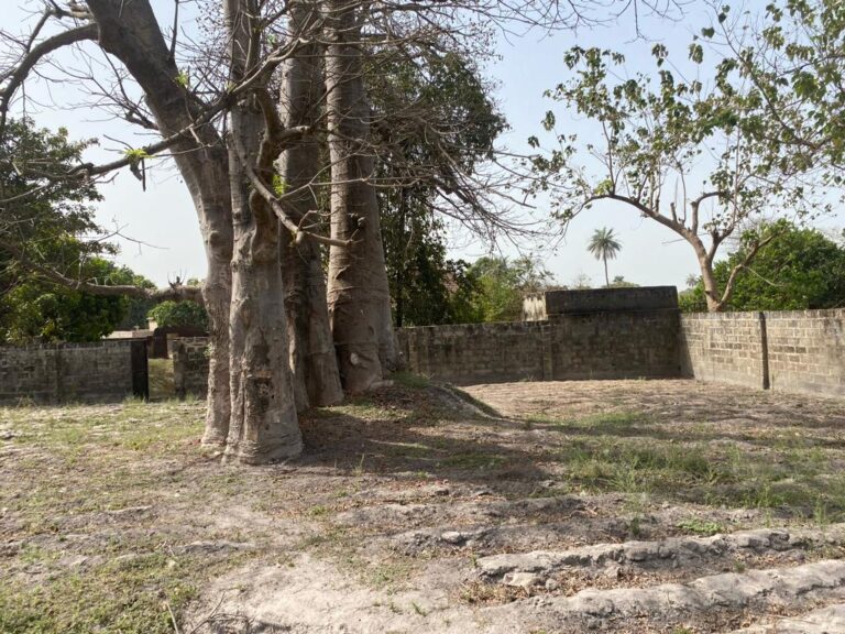 2 Prime Fenced Plots for Sale at Sanyang | GAMREALTY
