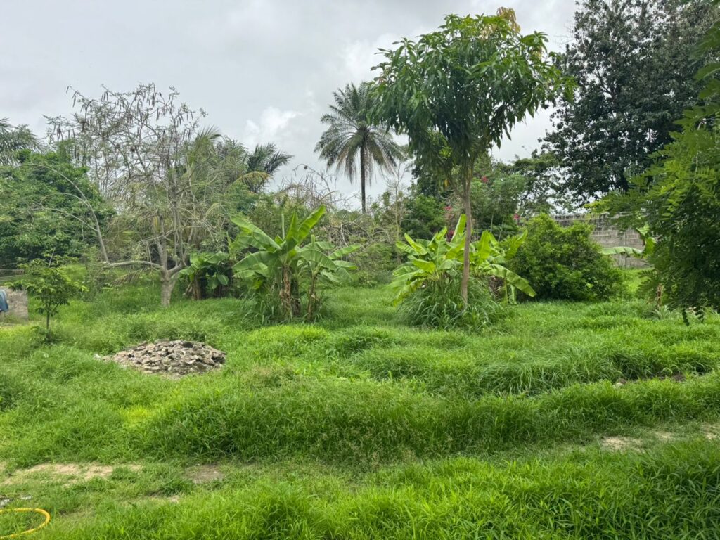 2400 m2 Fenced Plot with Building & Lush Greenery | Sanyang | GAMREALTY